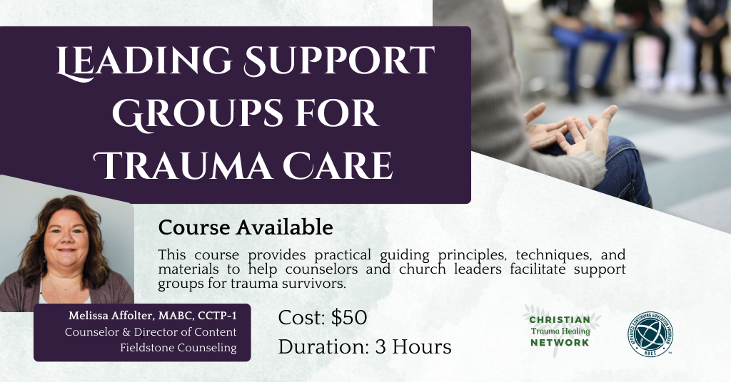 Christian Trauma Healing Network – Advancing Christ-centered trauma ...